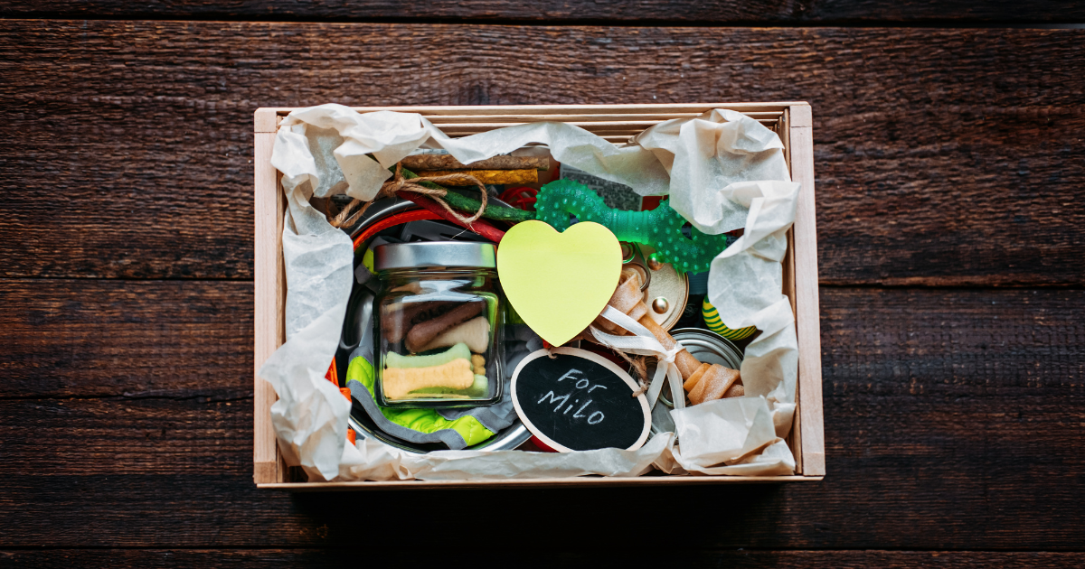 Best Subscription Box Ideas