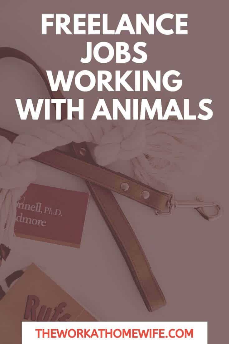 9 Spectacular Side Jobs Working With Animals